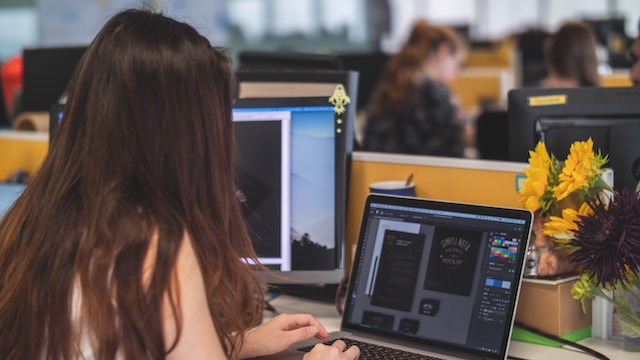 What Is Computer Graphics And Its Use Spider GL